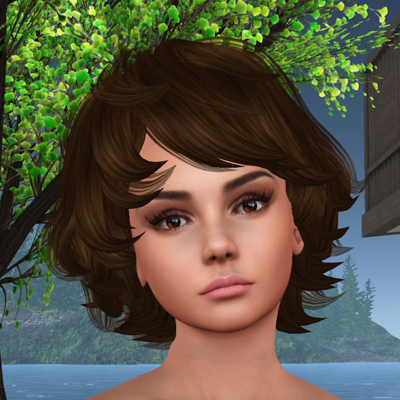 Does anyone here in Second Life still uses the classic avatar even ...