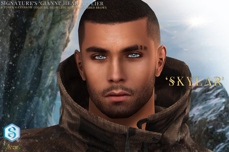 MESH HEAD - Your Avatar - Second Life Community
