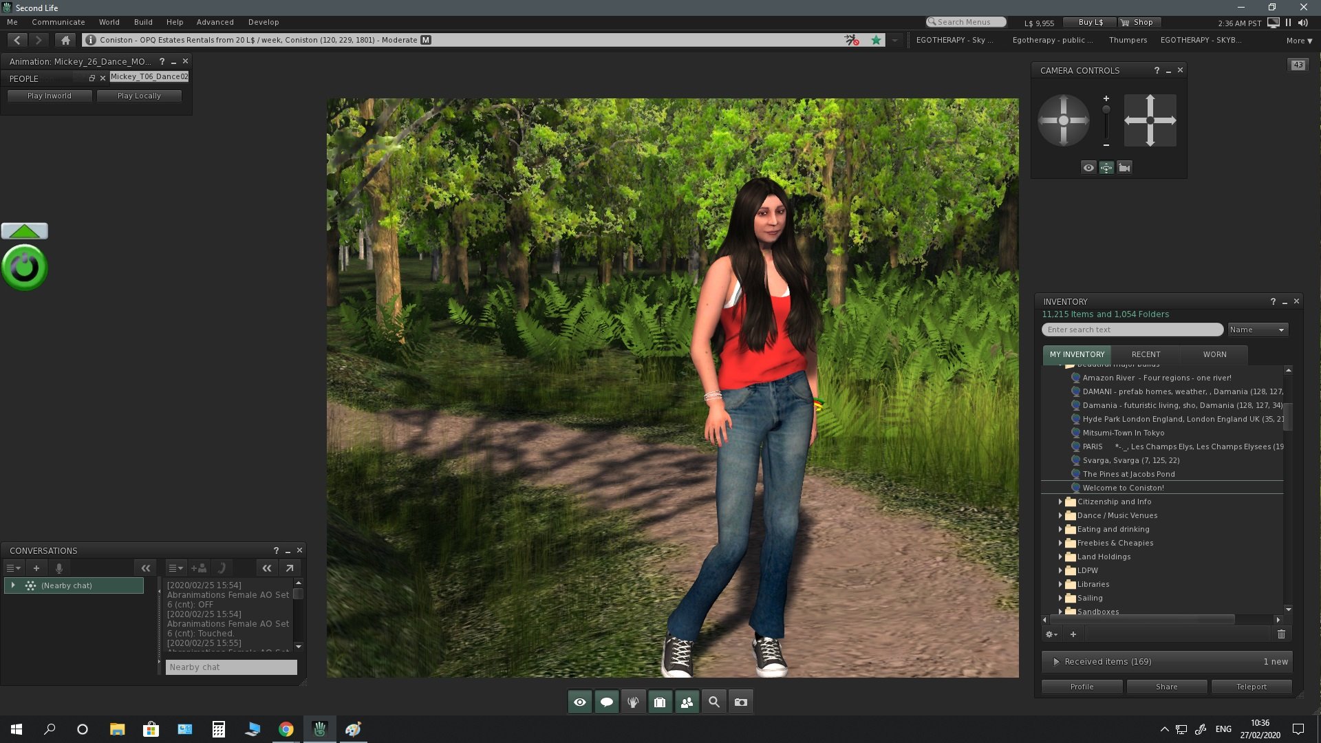 If you could redesign the viewer... - Page 2 - Second Life Viewer ...
