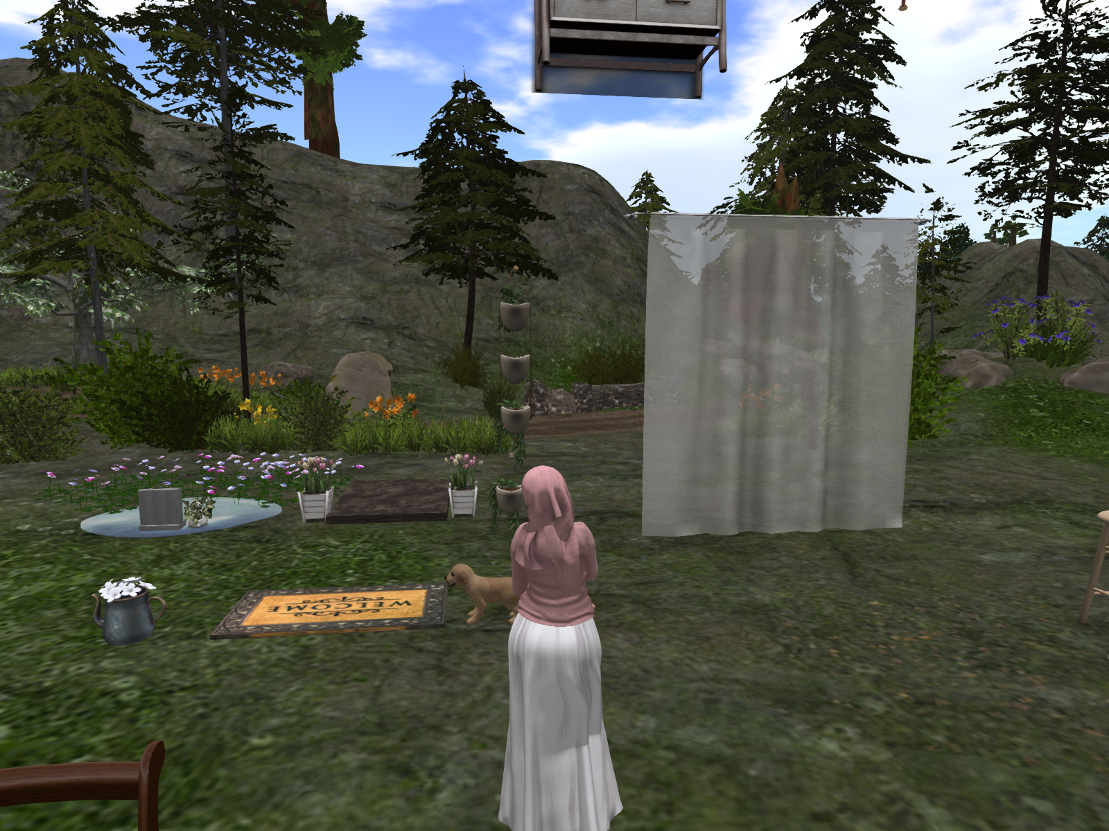 Why can't I see my house? I've logged in twice. This has happened ...