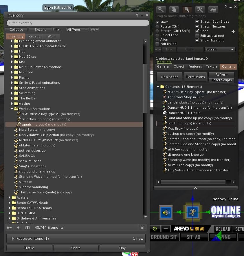 Cannot Move Animations from Inventory to/from HUD - Building and ...