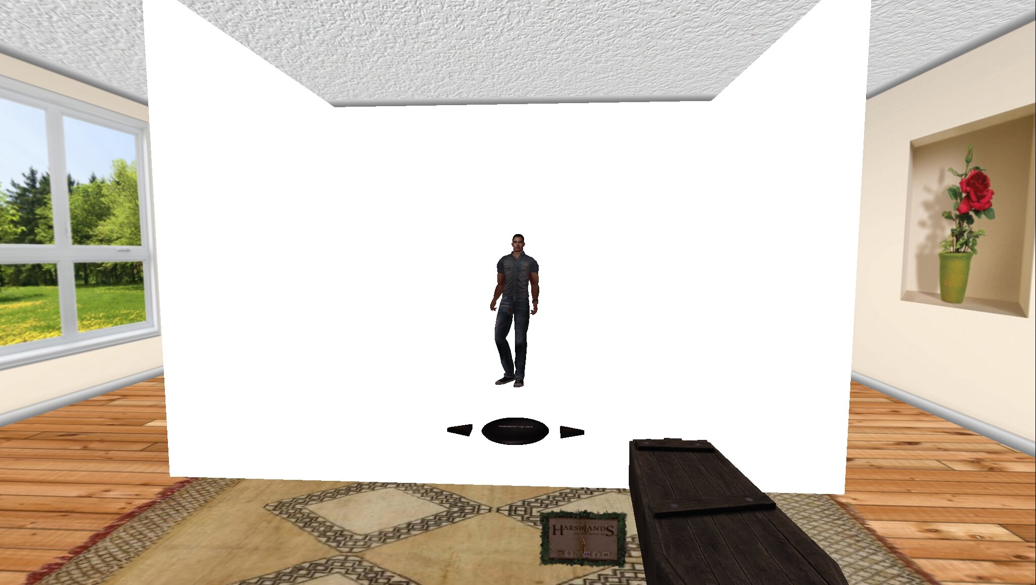 What is your SL Photography Setup? - Art, Music and Photography ...