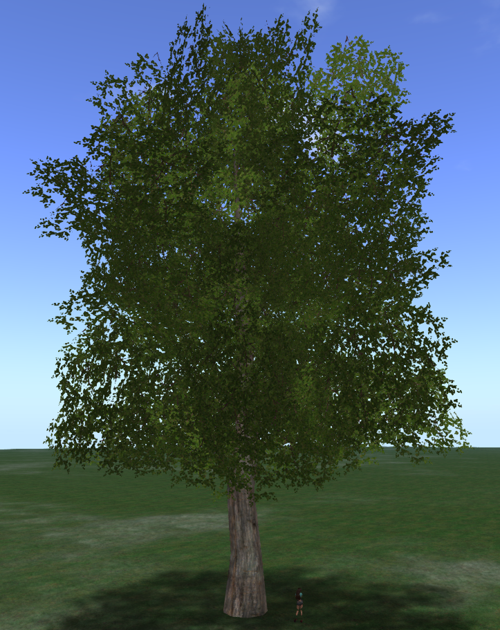 How to upload a tree to Second Life - Mesh - Second Life Community
