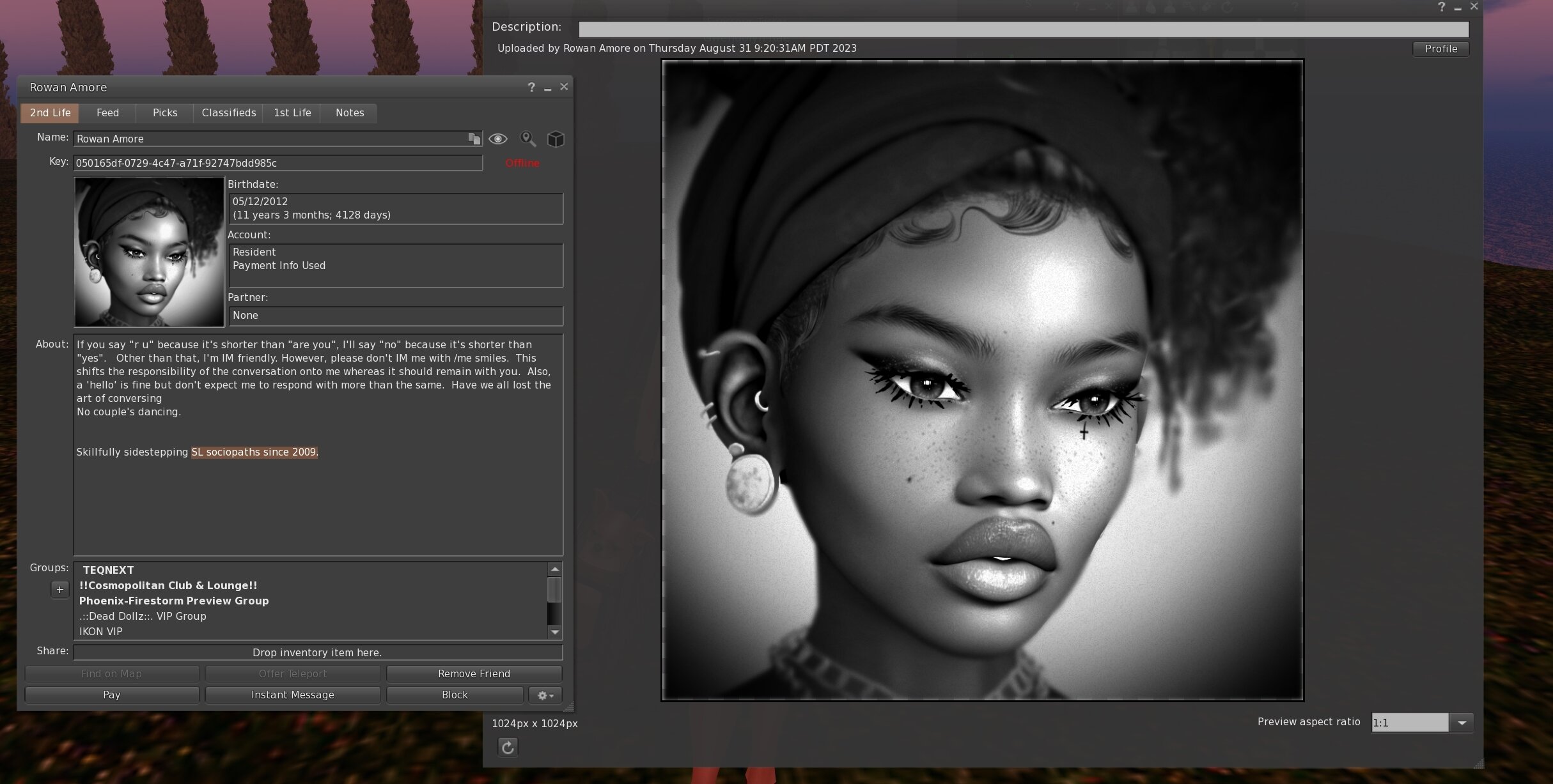 Firestorm Viewer is cropping profile pictures in new update. - General ...