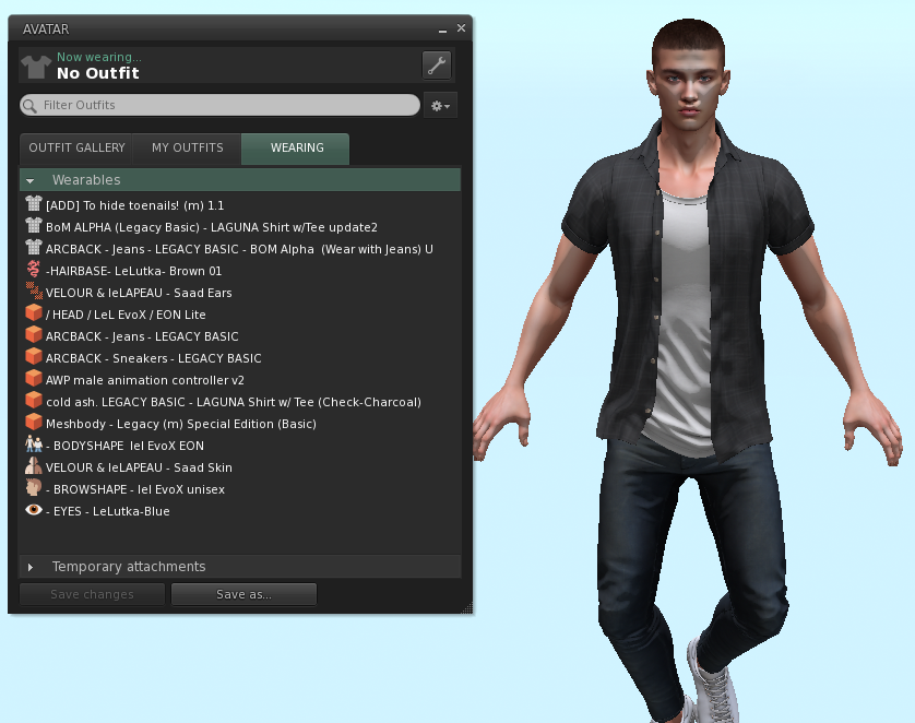 Controlling your avatar's appearance - English - Second Life Community