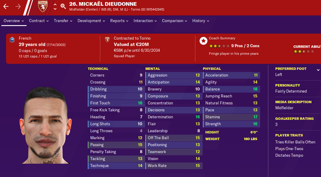[FM 20] 4-1-4-1 DM Wide, Roles/Instructions in the CM ahead of a ...