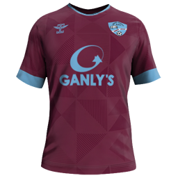 Republic of Ireland - Additional Leagues and Full Pyramid - Editors ...
