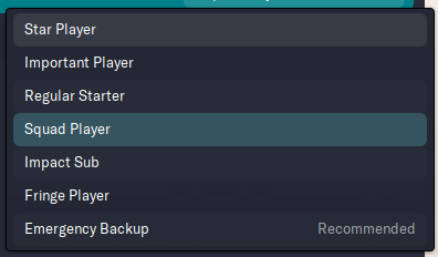 No Description of Squad Status? (FM 2023) - Football Manager General ...