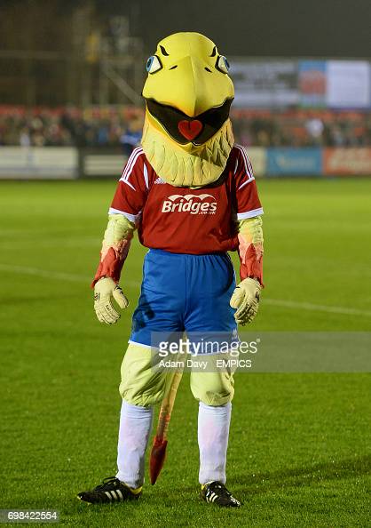 Best/Worst Mascots - Other Football - VillaTalk