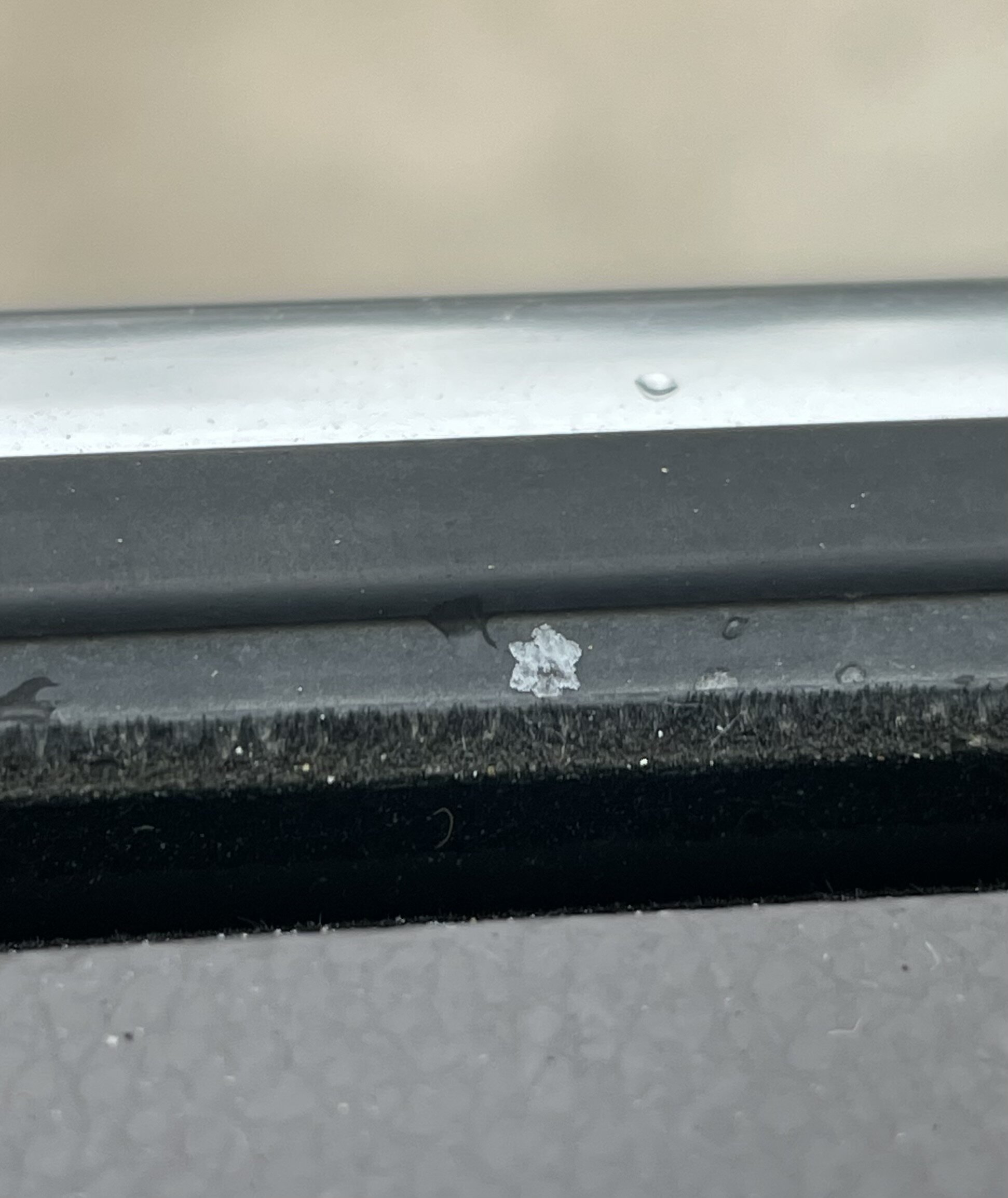 A beautiful, perfect snowflake. - The Chat Board - The Well-Trained ...