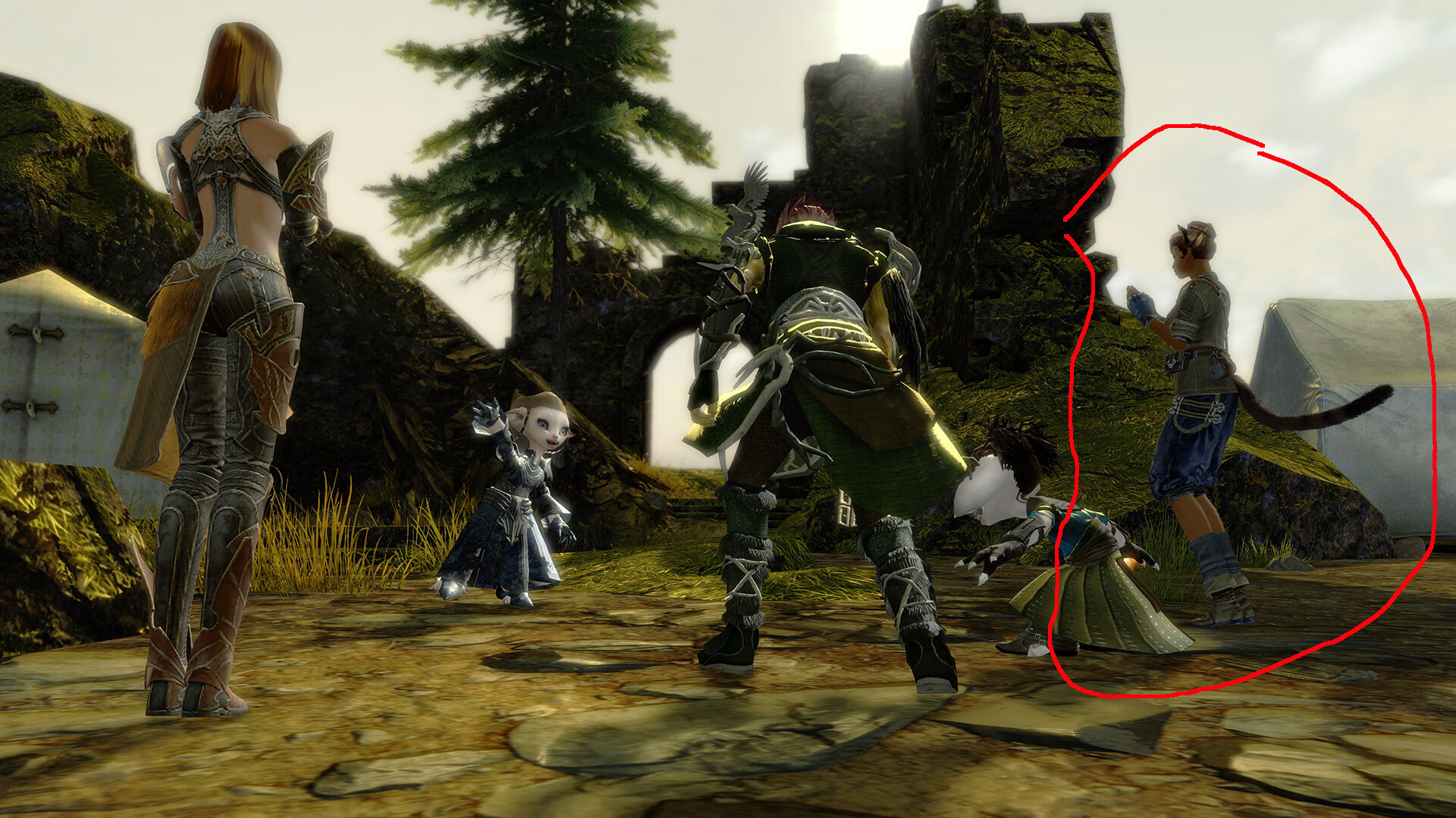 Is this tail from new skin? - Players Helping Players - Guild Wars 2 Forums