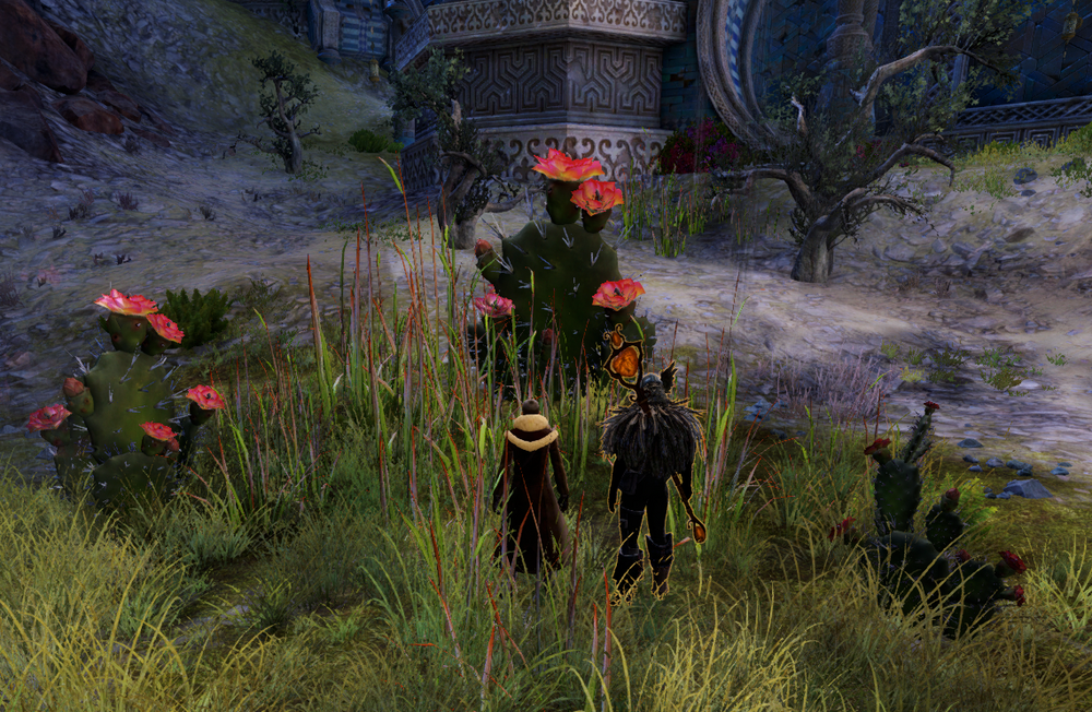 Homestead Decoration Requests - Guild Wars 2 Discussion - Guild Wars 2 ...