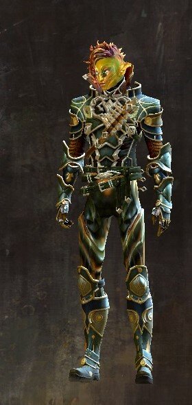Ward Knight Skins - Guild Wars 2 Discussion - Guild Wars 2 Forums