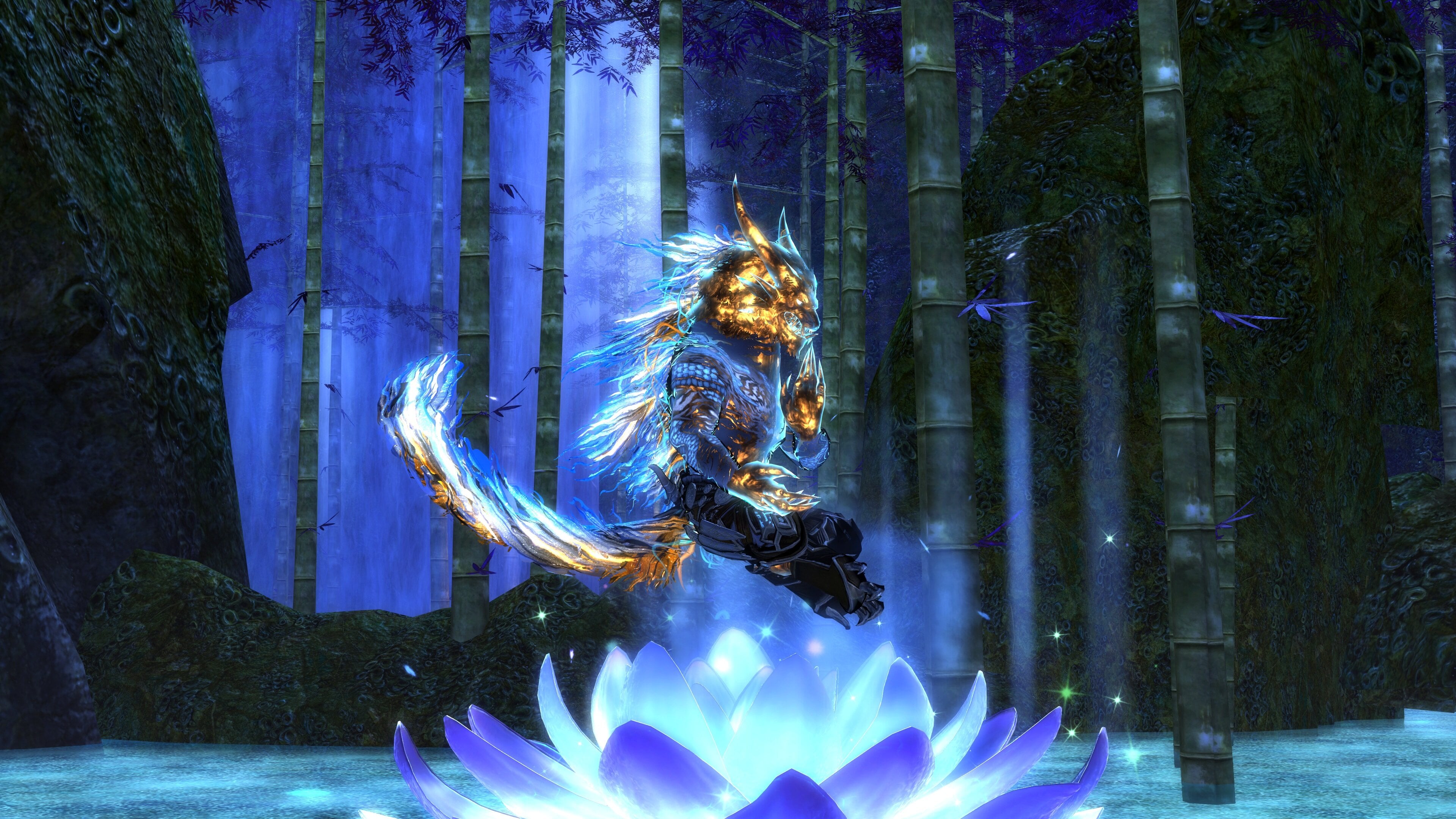 Backpiece and chairs - Guild Wars 2 Discussion - Guild Wars 2 Forums