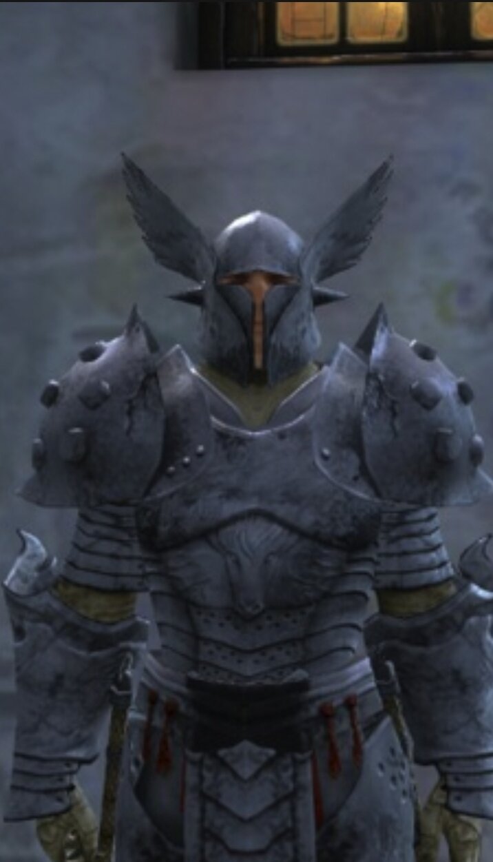 Why does my armor looks like garbage? - Guild Wars 2 Discussion - Guild ...
