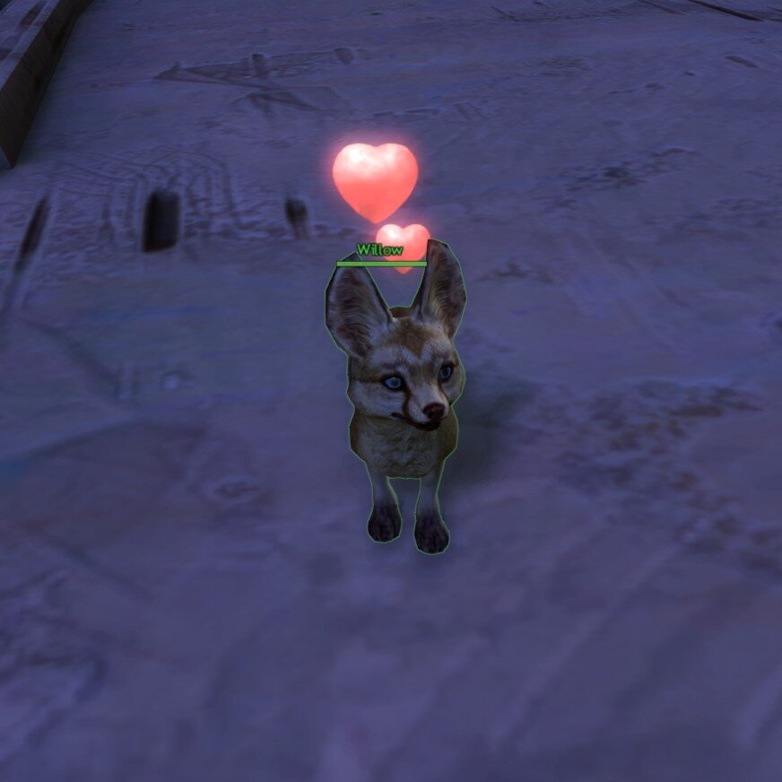 The new Extra Life pets have been added to the game--is your pet one of ...