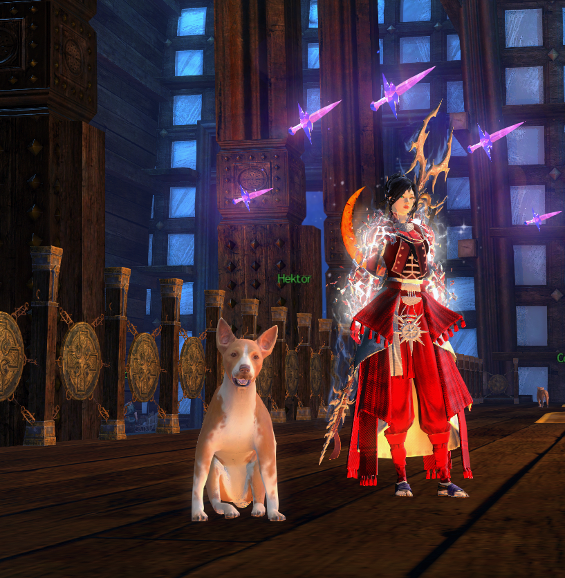 The new Extra Life pets have been added to the game--is your pet one of ...