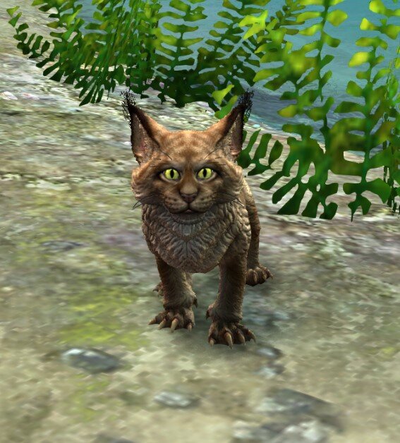 The new Extra Life pets have been added to the game--is your pet one of ...