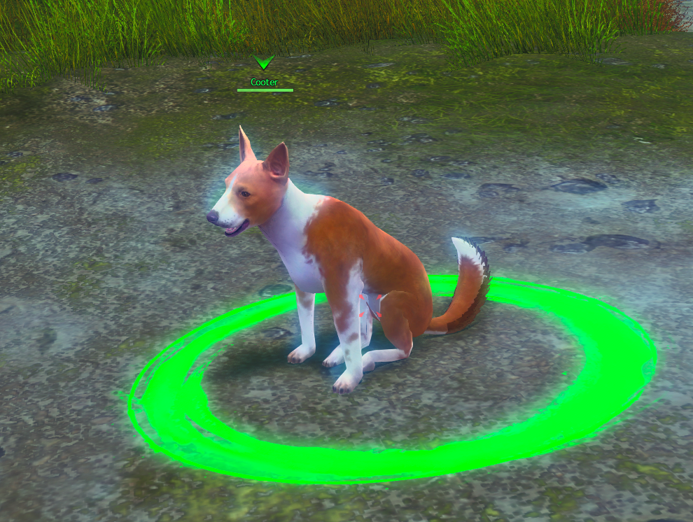 The new Extra Life pets have been added to the game--is your pet one of ...