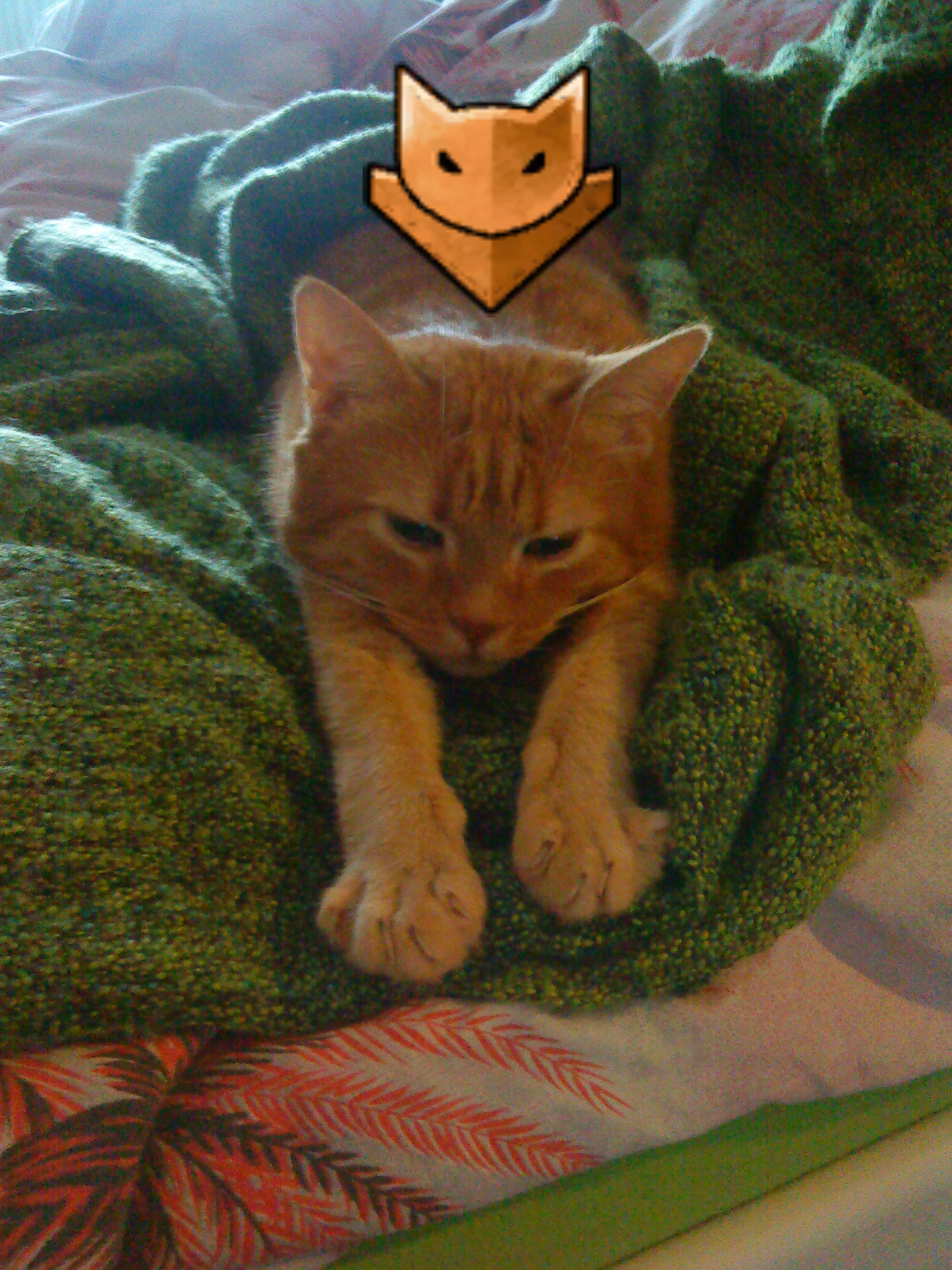 The new Extra Life pets have been added to the game--is your pet one of ...