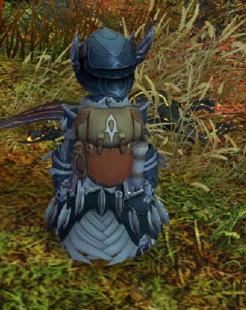 Please add the medic backpack as a skin - Fashion Wars Too - Guild Wars ...
