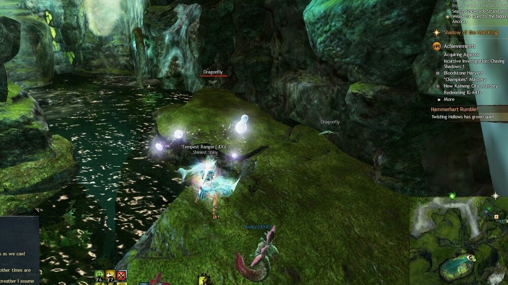 VoE - 8. Path of divinity - Collection impossible to complete - Bugs ...