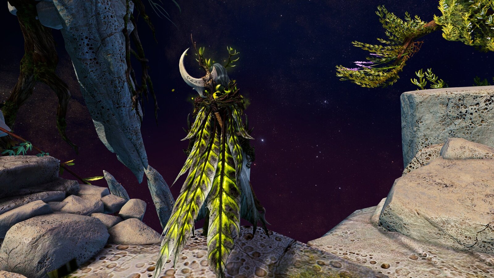 Nature's Perpetuity - Back - Fashion Week: GWAMM - Guild Wars 2 Forums