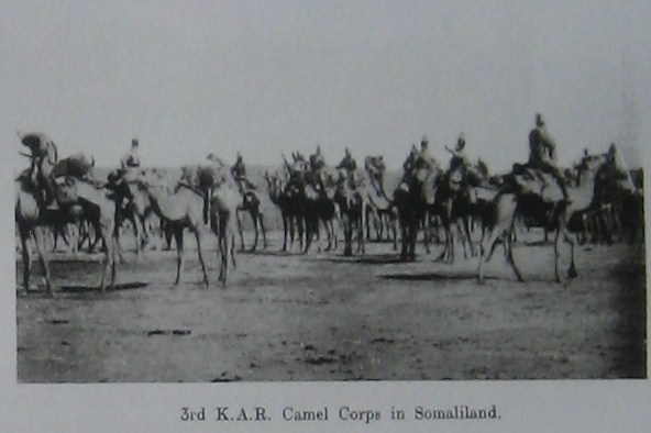 SOMALILAND 1908 - 1910 - British Empire: Colonial Including South ...