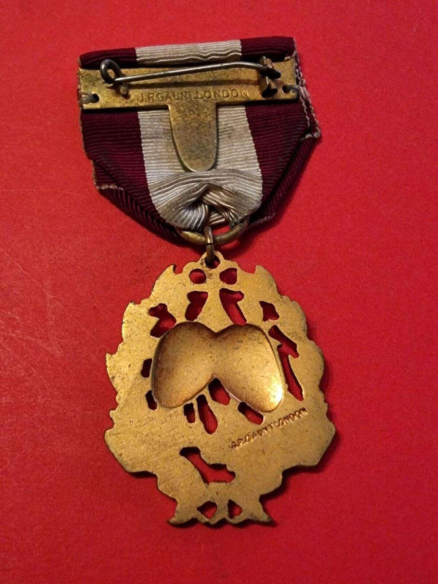 What on earth is this? A medal I can't see listed anywhere! - Non ...