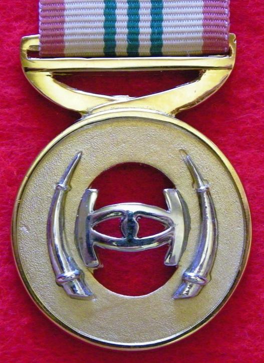 South African Intelligence Services Awards - Africa - Gentleman's ...