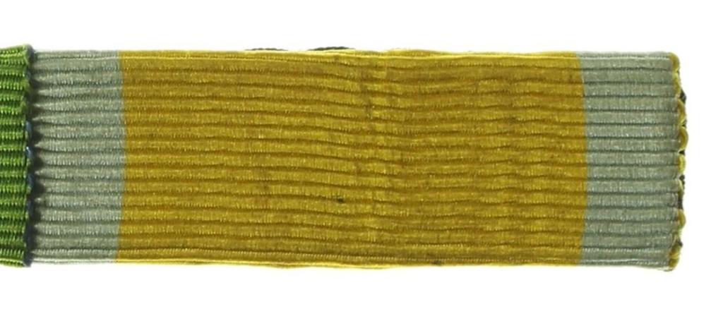 Do you recognize this ribbon? - South East & East Asia - Gentleman's ...