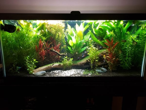 Fluval Plant 3.0 Scheduling and Programming - Community Resources - C.A ...