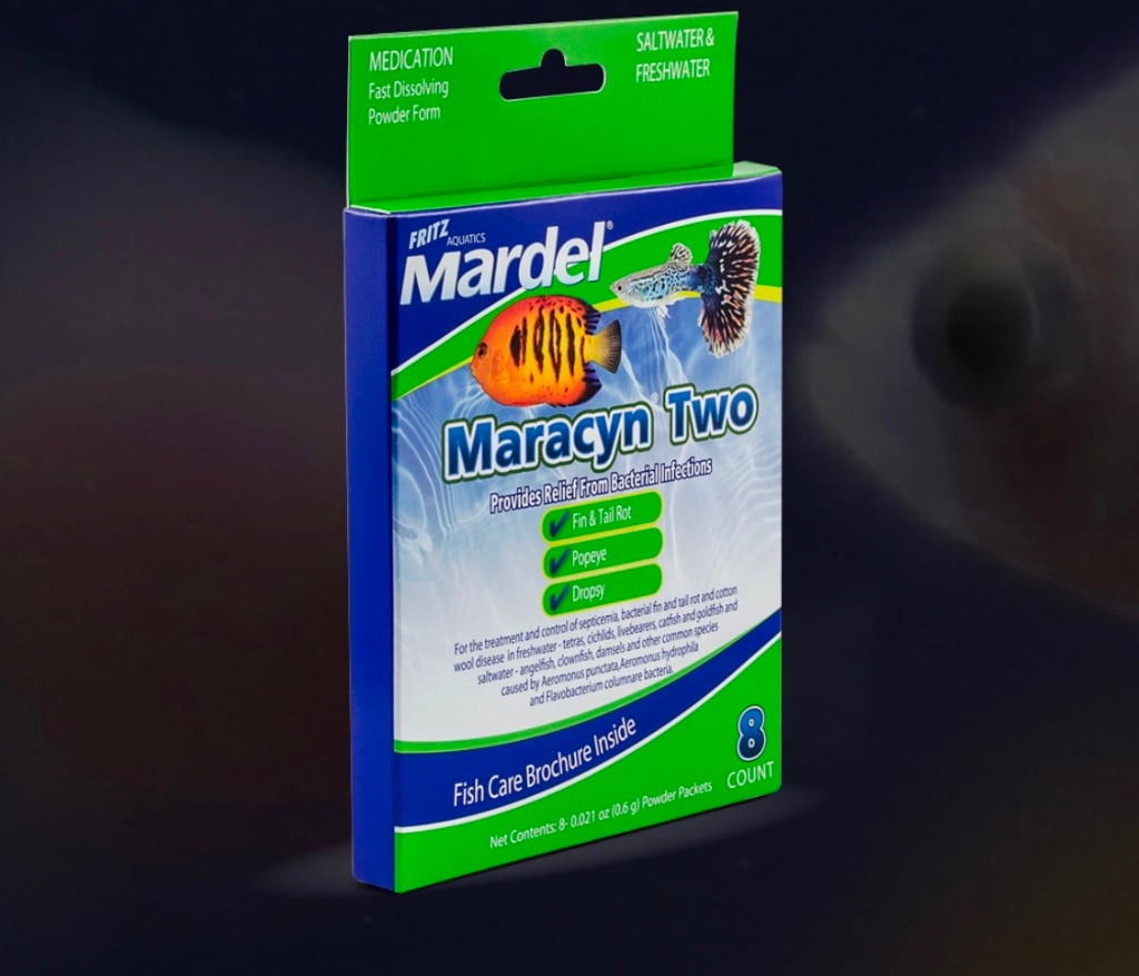 Maracyn Two for betta fish tail/fin rot - Diseases - Aquarium Co-Op Forum