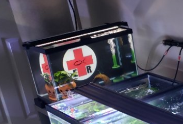 Hello from Texas - General Chat - Aquarium Co-Op Forum