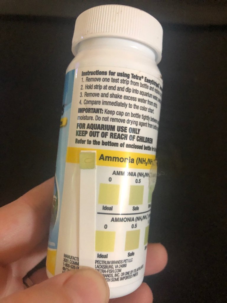 Help nugget - Diseases - Aquarium Co-Op Forum