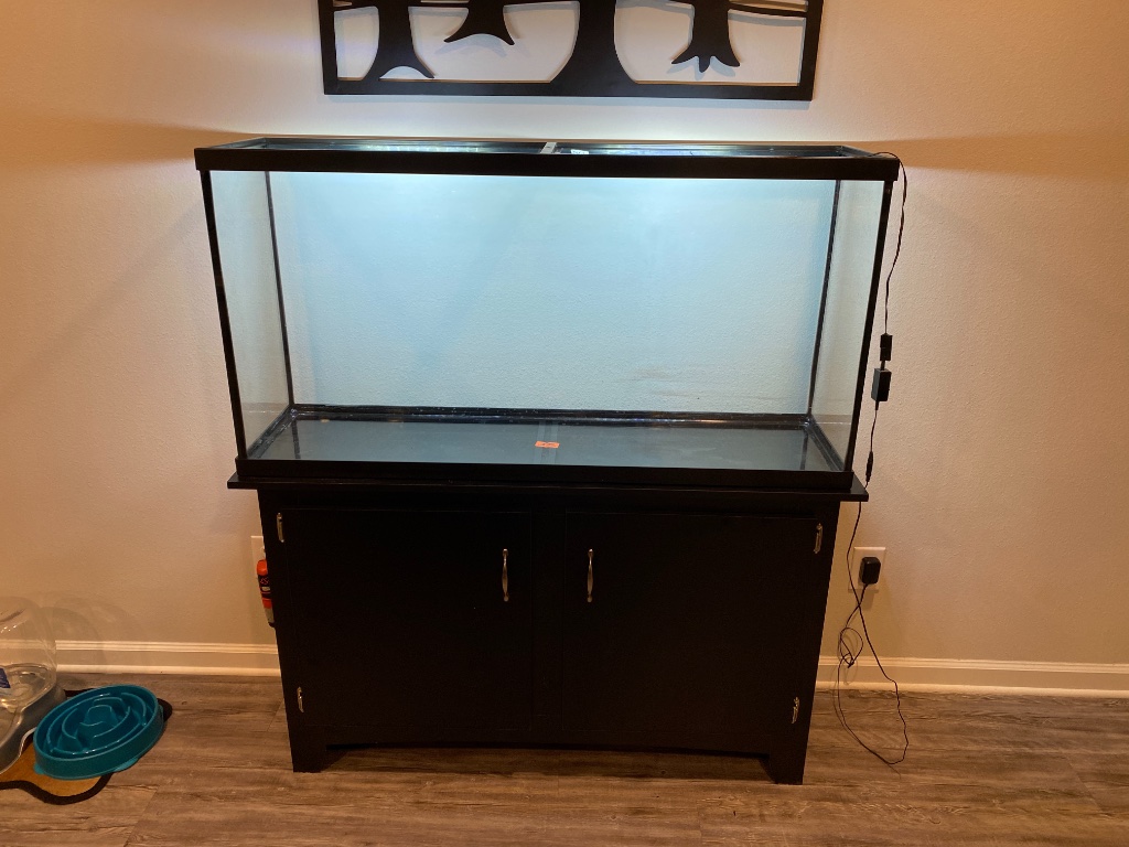 My newest 60 gallon project (part 1) - Photos, Videos & Journals ...