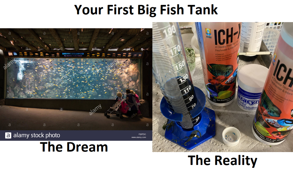 Aquarium Memes - Page 10 - Photos, Videos & Journals - Aquarium Co-Op Forum