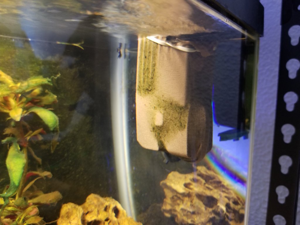 Seachem tidal HOB Skimmers - General Chat - Aquarium Co-Op Forum