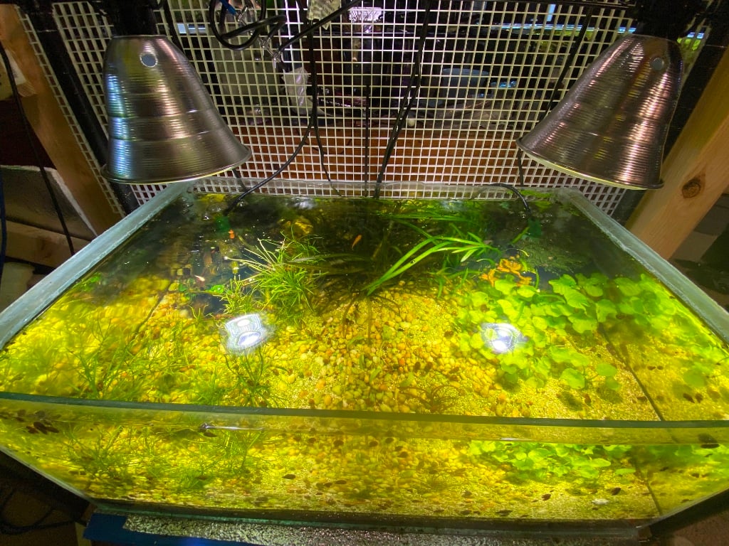 Aquarium Frame Repair or DIY Option - General Chat - Aquarium Co-Op Forum