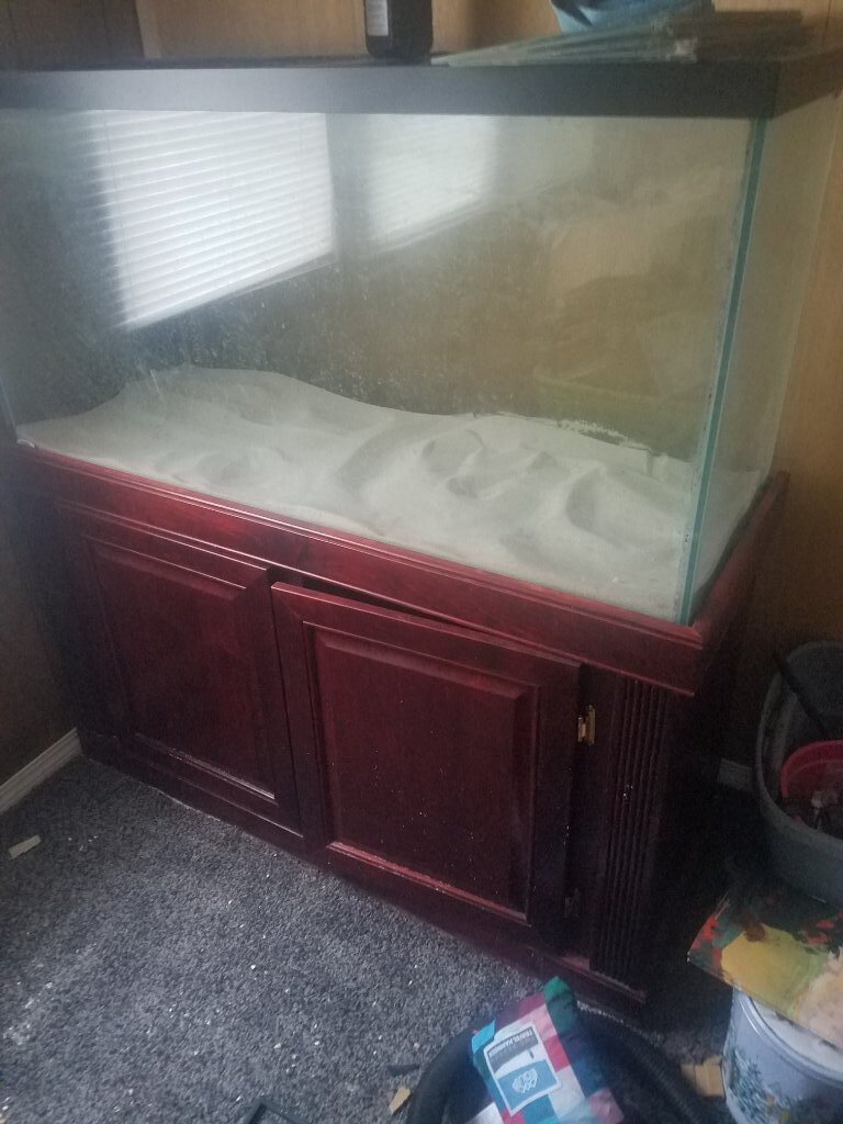 Shell dweller recommendations - General Chat - Aquarium Co-Op Forum