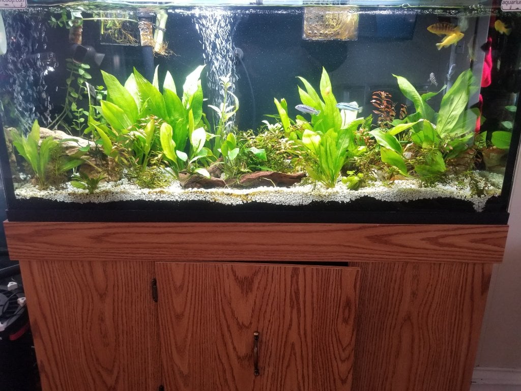 Fluval Plant 3.0 Settings - General Chat - Aquarium Co-Op Forum