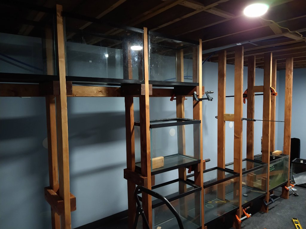 Building Coop-style fish racks. - General Chat - Aquarium Co-Op Forum
