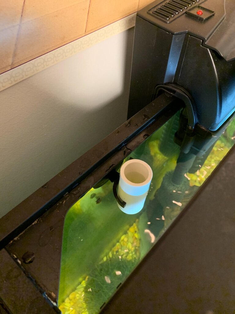 Plants and Filters? - Page 2 - Plants, Algae, and Fertilizers ...