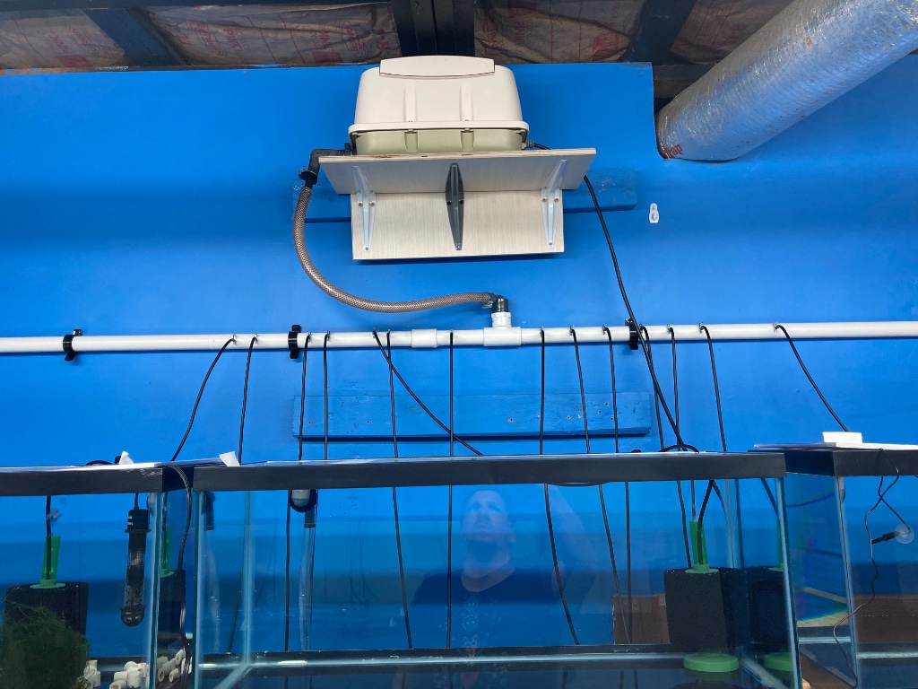 Fomorian’s Fish Room - Photos, Videos & Journals - Aquarium Co-Op Forum