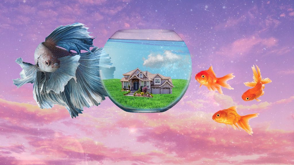 Photoshop by ParaVagans - Photos, Videos & Journals - Aquarium Co-Op Forum