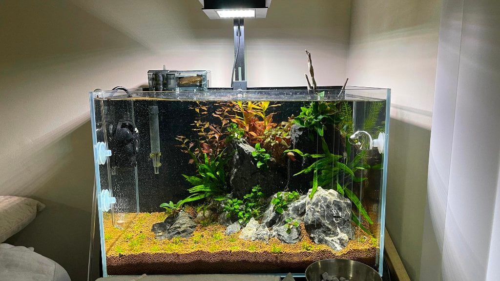 Fluval Plant 3.0 Scheduling and Programming - Page 10 - Community ...