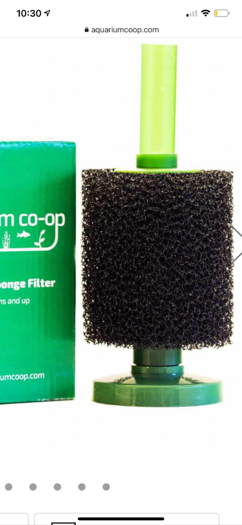 Sponge filter wall vs substrate - General Chat - Aquarium Co-Op Forum