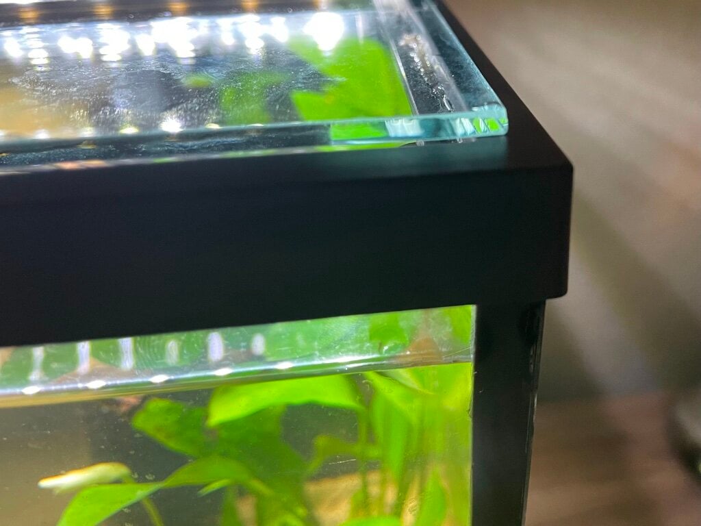 Fitting a Rim to a Glass Lid? - General Chat - Aquarium Co-Op Forum