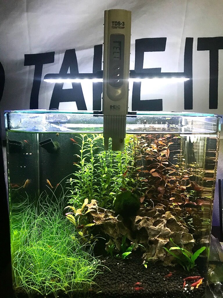 TDS and fertilizer dosing - General Chat - Aquarium Co-Op Forum