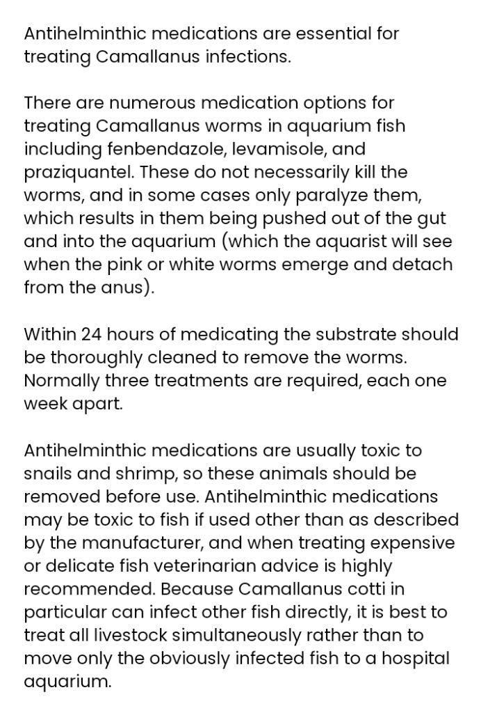 Camallanus worms? - Diseases - Aquarium Co-Op Forum